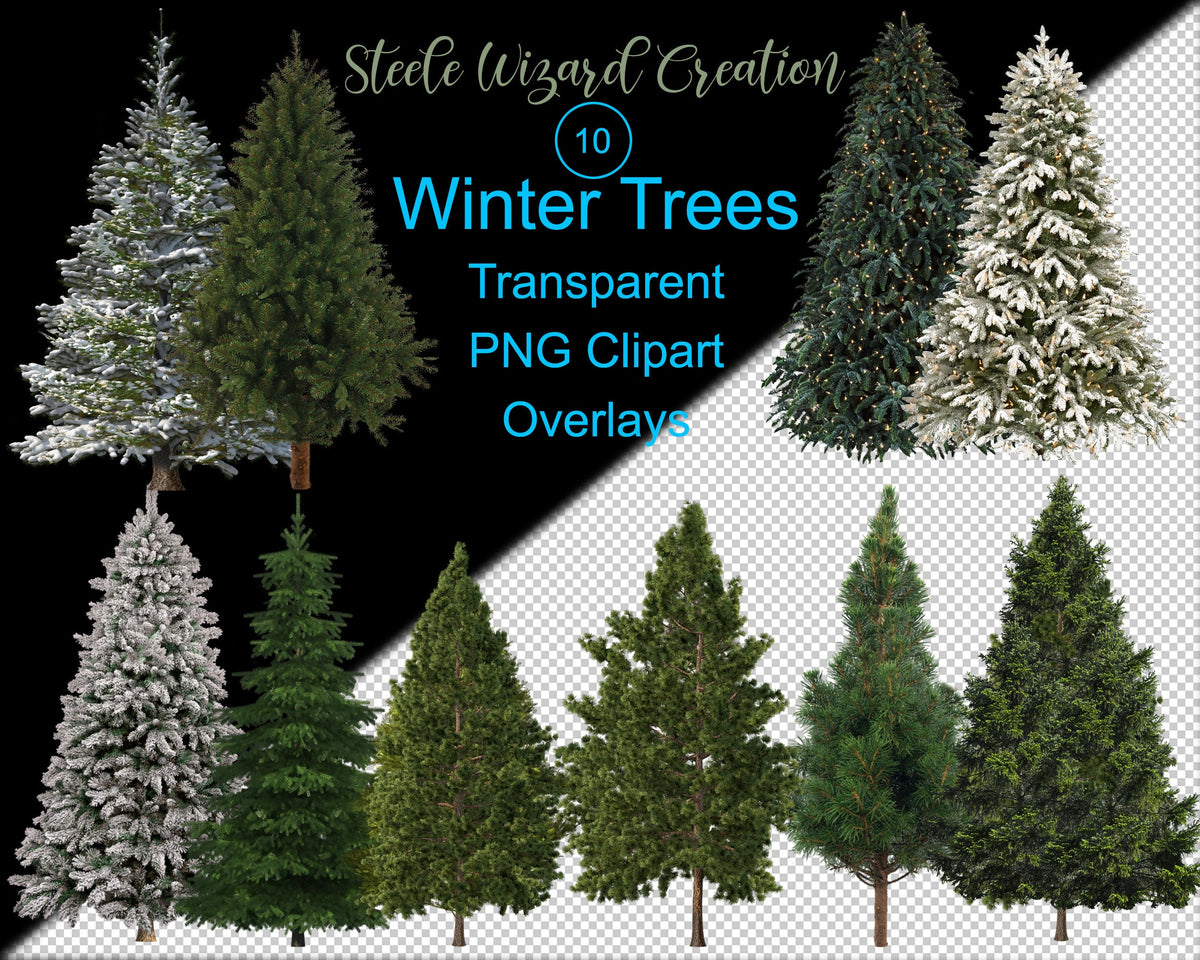 Pine Trees Overlays, Evergreen Trees Clipart – Steele Wizard Creation
