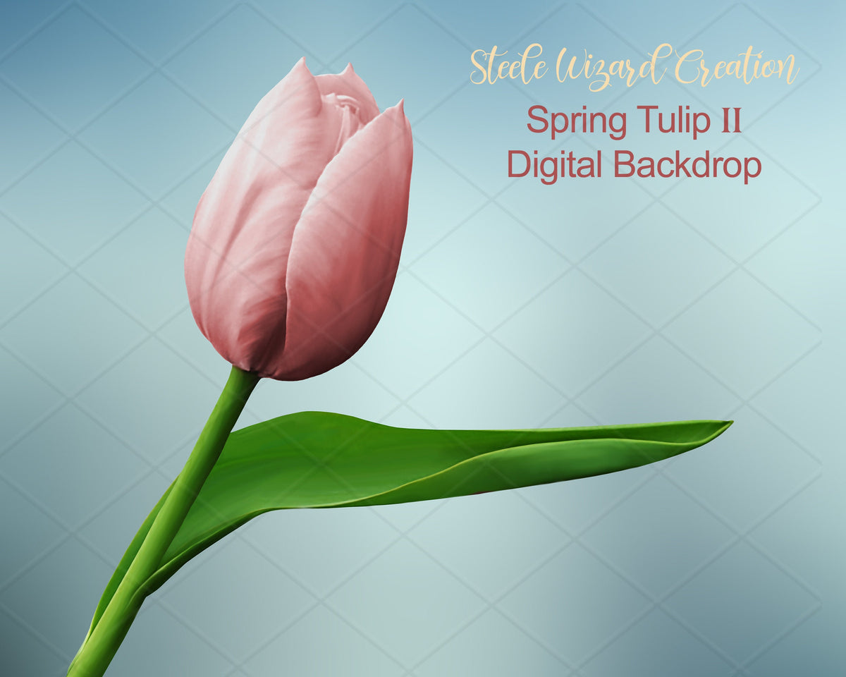 Tulip Digital Backdrop – Steele Wizard Creation